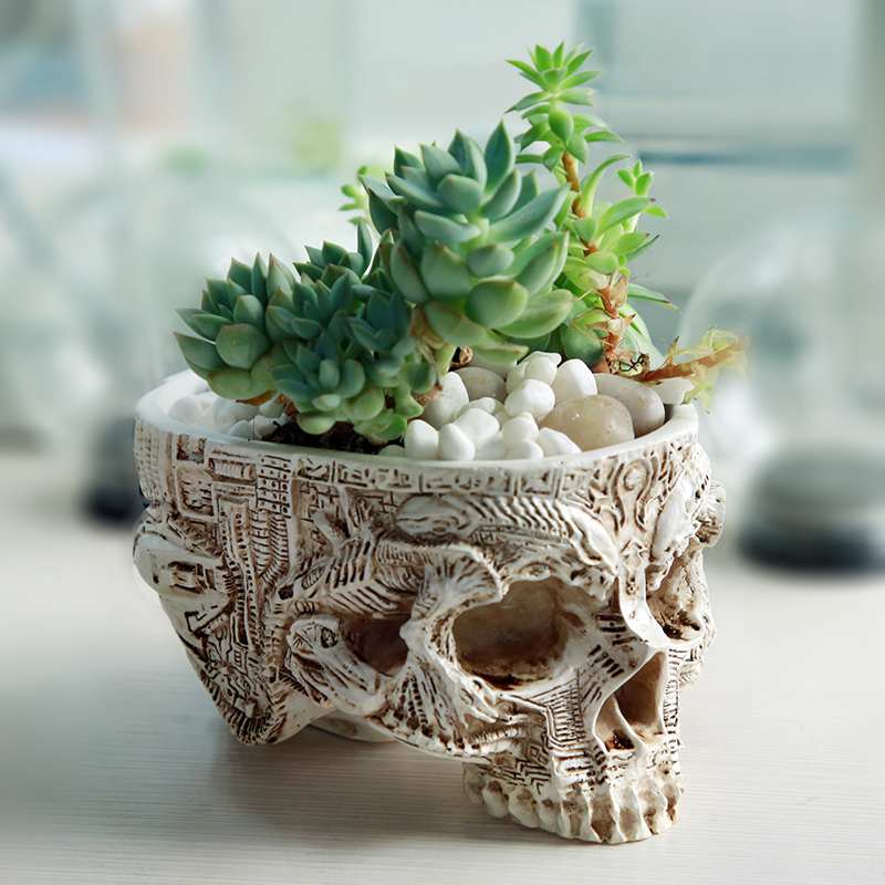 Ancient Skull Plant Pot – Gothic Mania